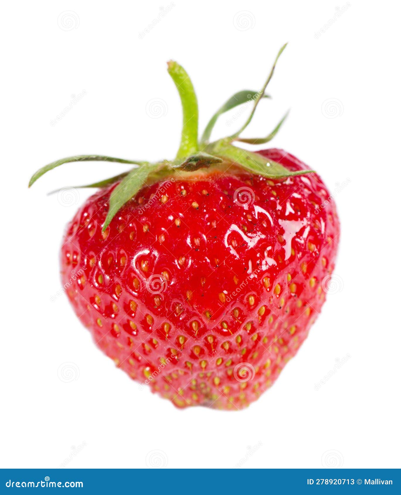 Morango Grande E Suculento, Isolado Em Branco Imagem de Stock - Imagem ...