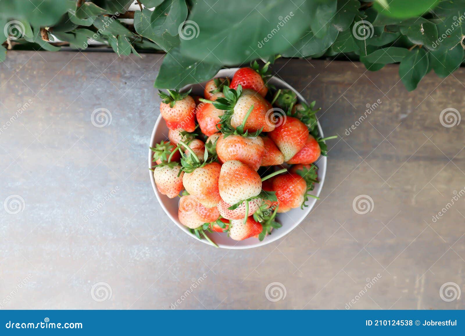 Morango ou morango fresco foto de stock. Imagem de raro - 210124538