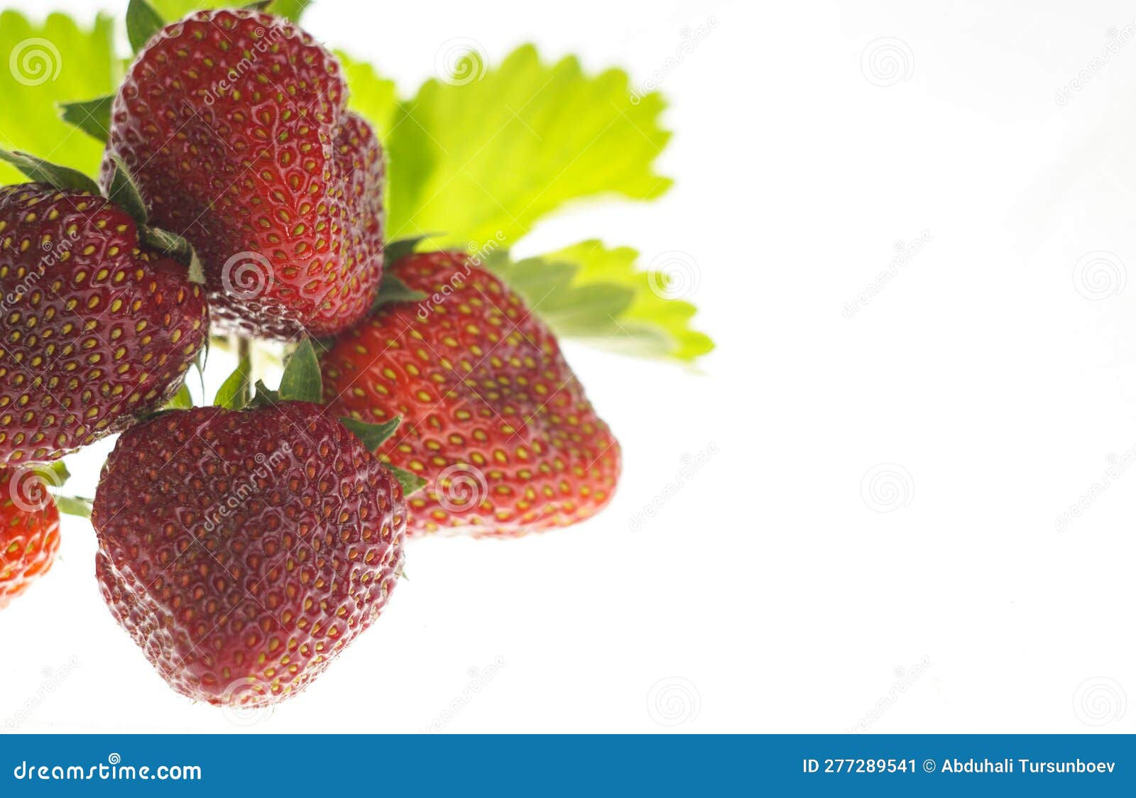 Morango sobre fundo branco imagem de stock. Imagem de alimento - 277289541