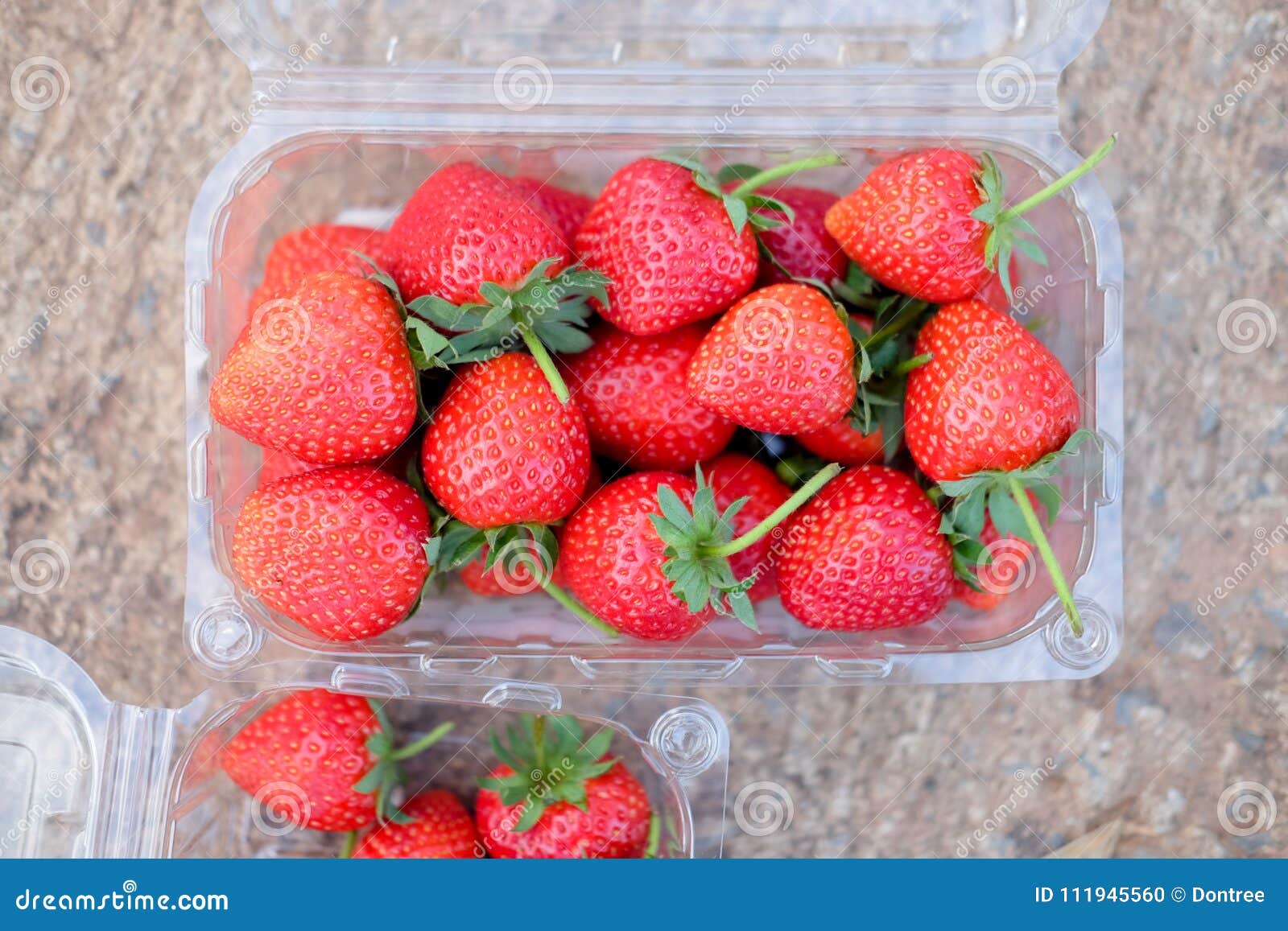 Morangos frescas foto de stock. Imagem de orgânico, verde - 111945560