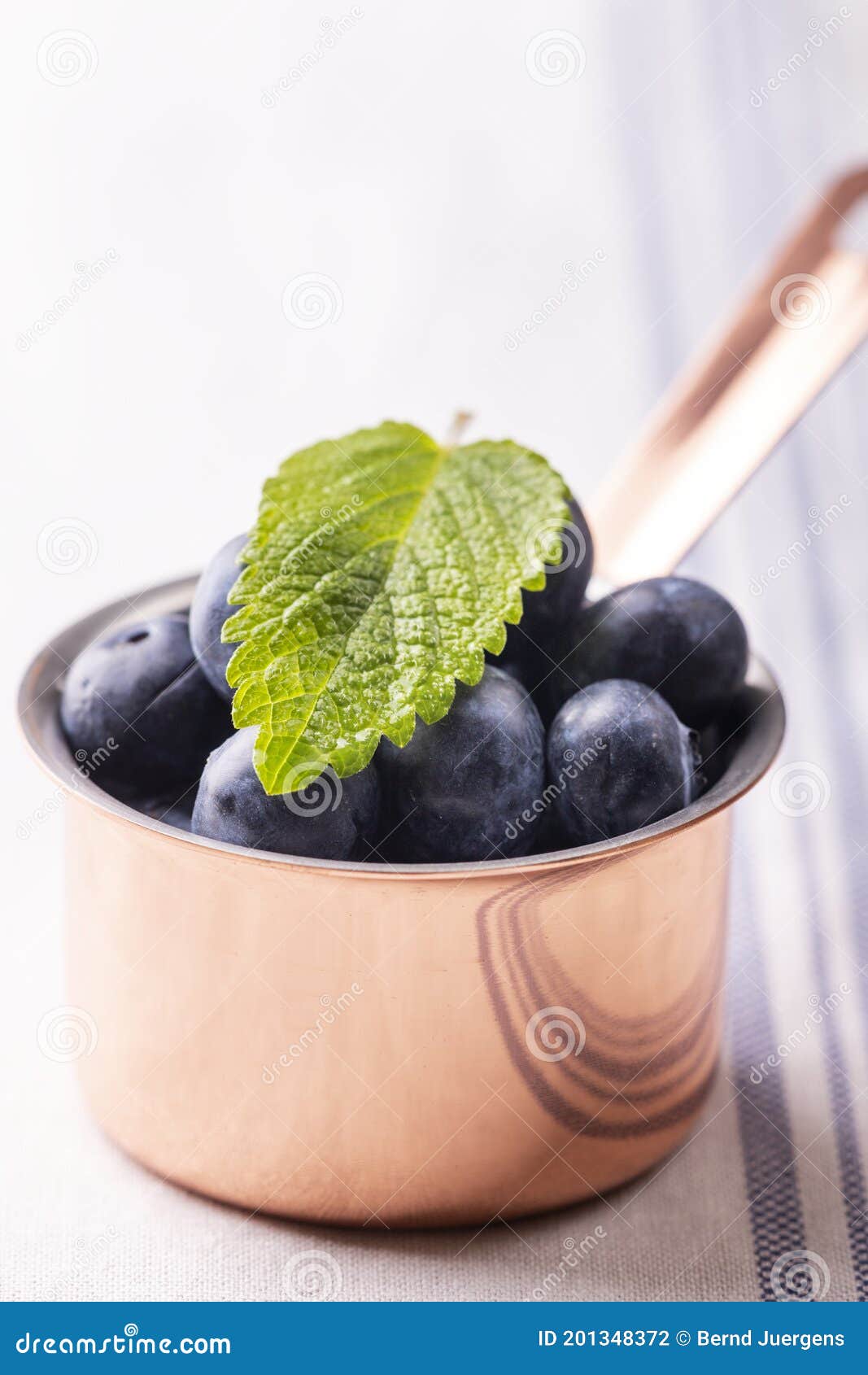 Moras azules foto de archivo. Imagen de culinario, cobre - 201348372