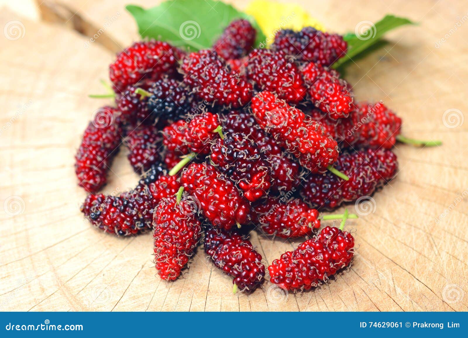 Moras rojas frescas imagen de archivo. Imagen de jugoso - 74629061