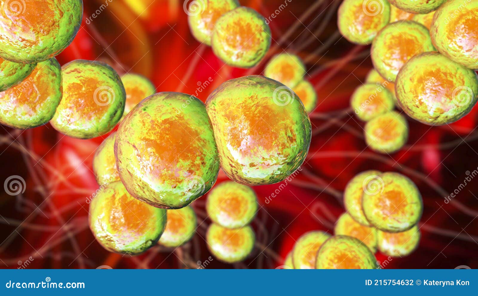 Moraxella Catarrhalis Bacteria, Illustration. Gram-negative Aerobic ...