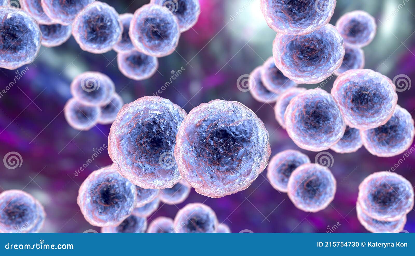 Moraxella Catarrhalis Bacteria, Illustration. Gram-negative Aerobic ...