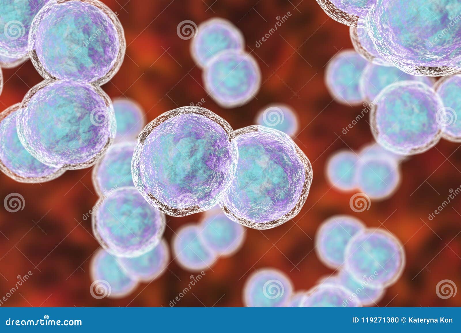The Diplococcus Of Pneumonia, Vintage Engraving Cartoon Vector ...