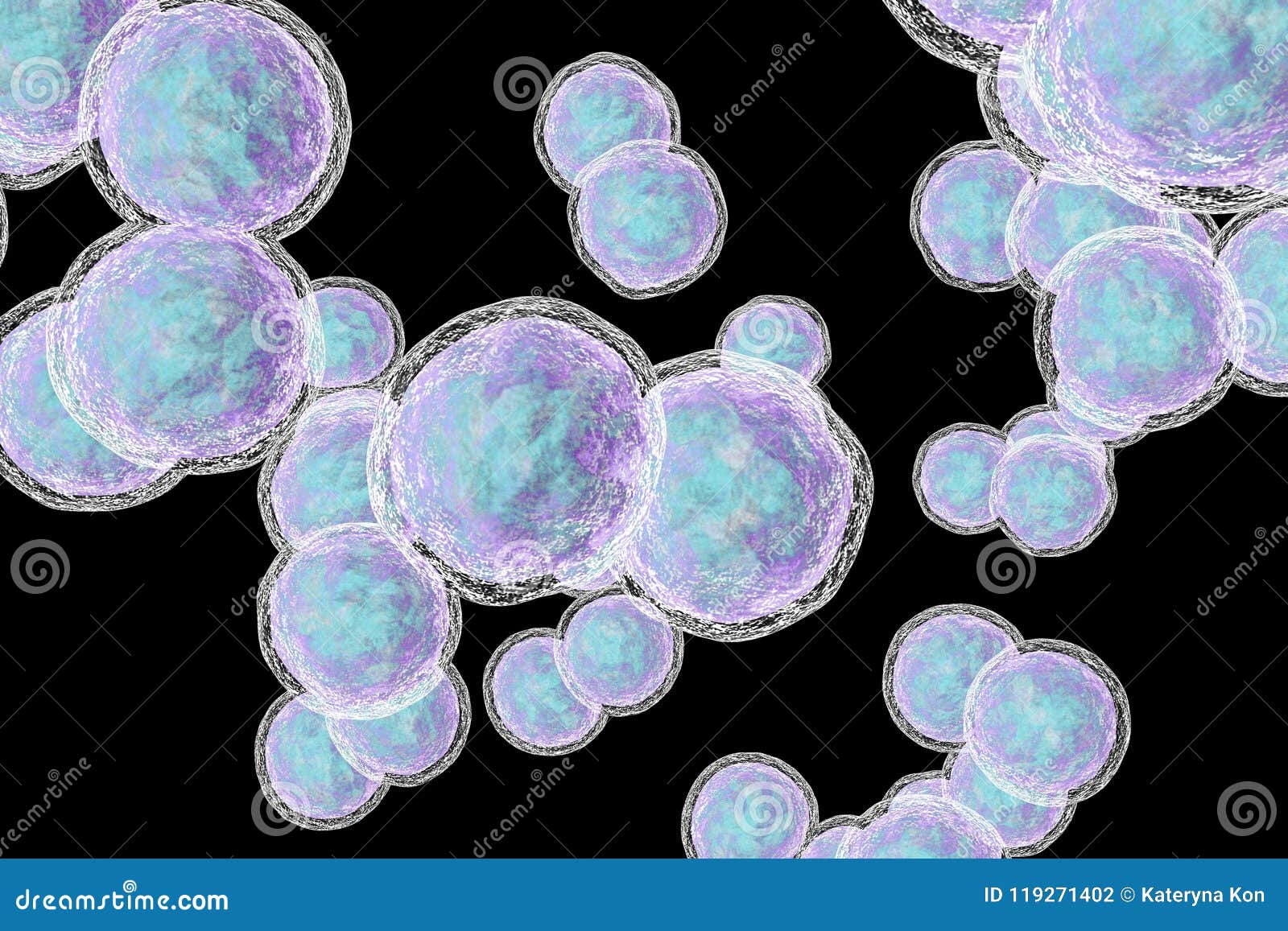 Moraxella Catarrhalis Bacteria Stock Illustration - Illustration of ...