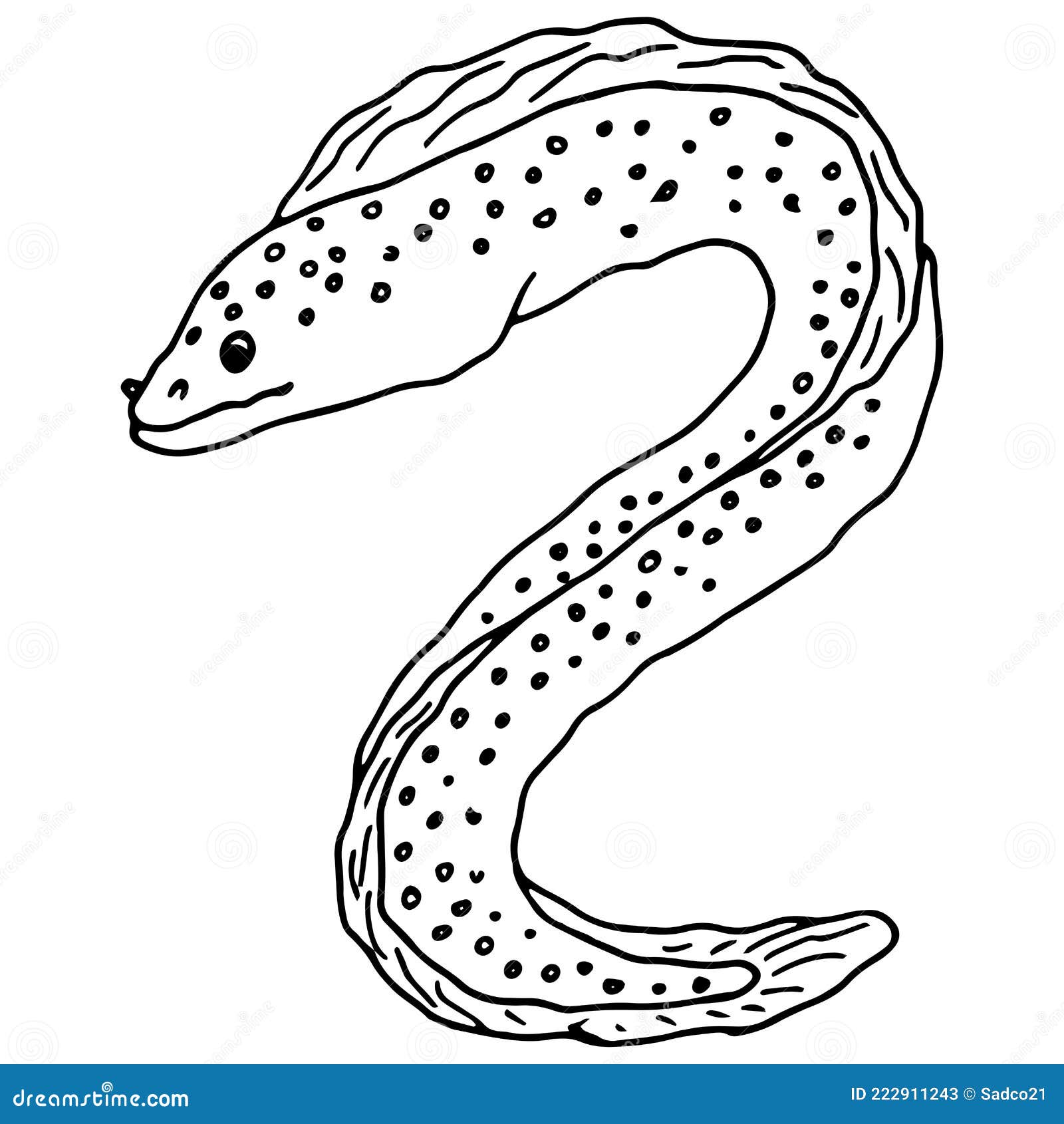 Spotted Moray Eel With A Collar With Spikes Isolated On A White ...