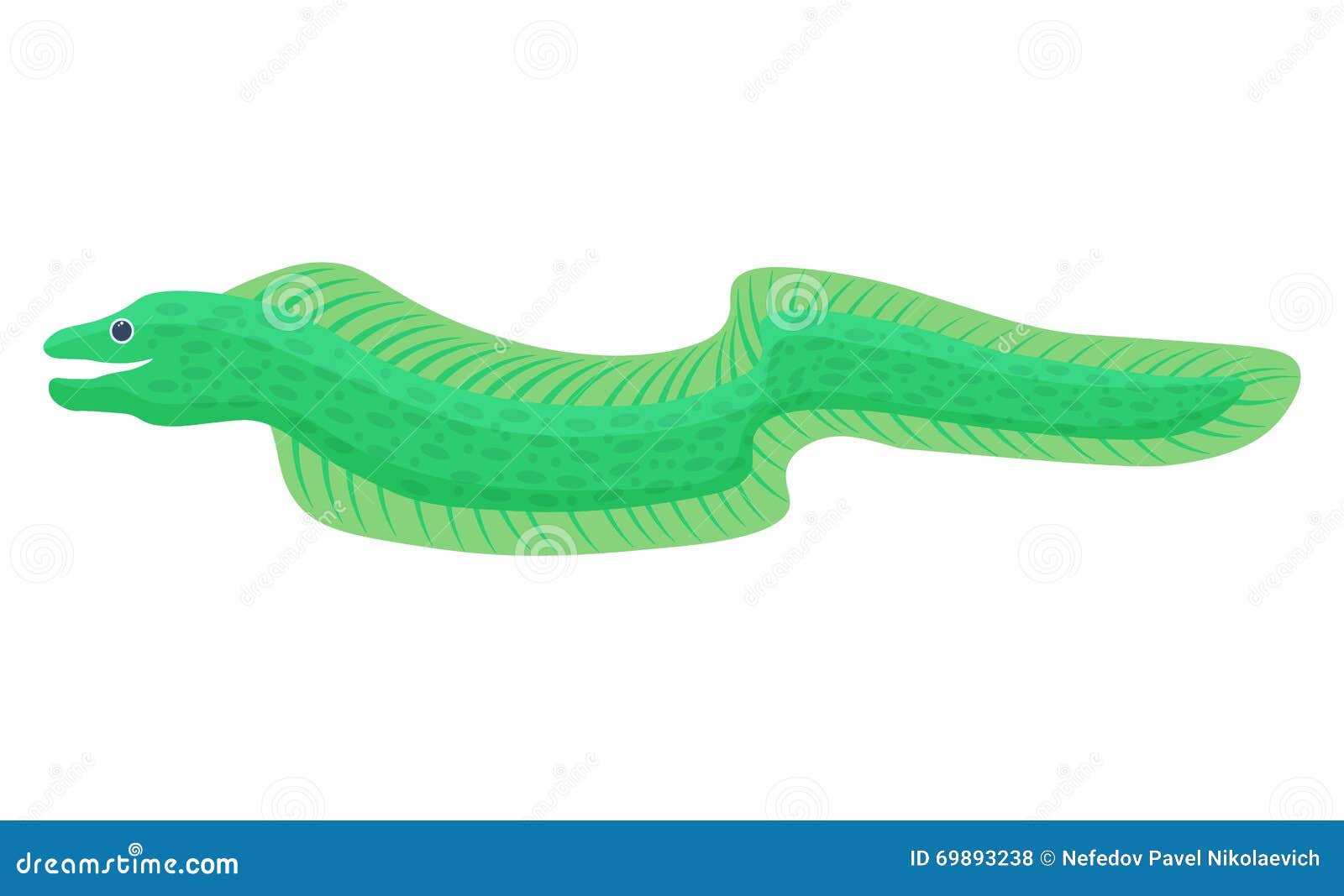 Moray Eel Fish Vector Illustration Transparent Background ...