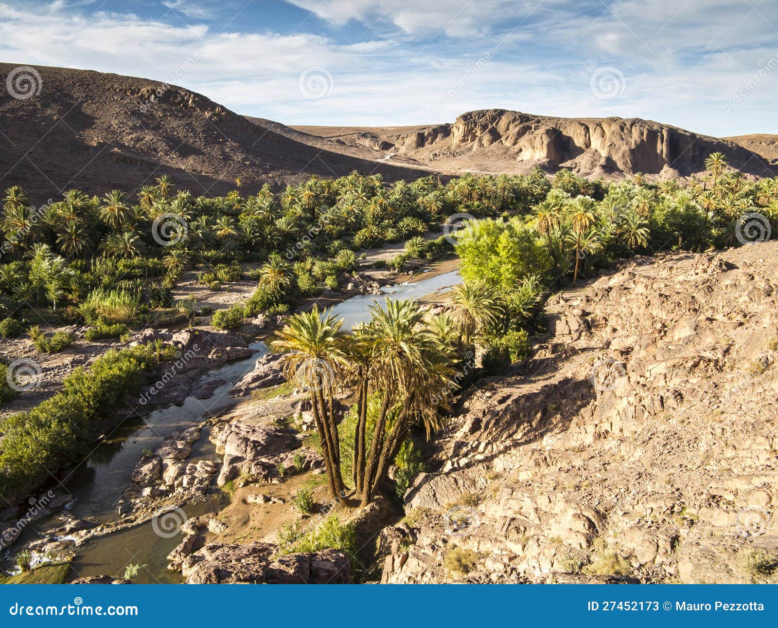 Morcco stock afbeelding. Image of bomen, palm, reis, marokko - 27452173