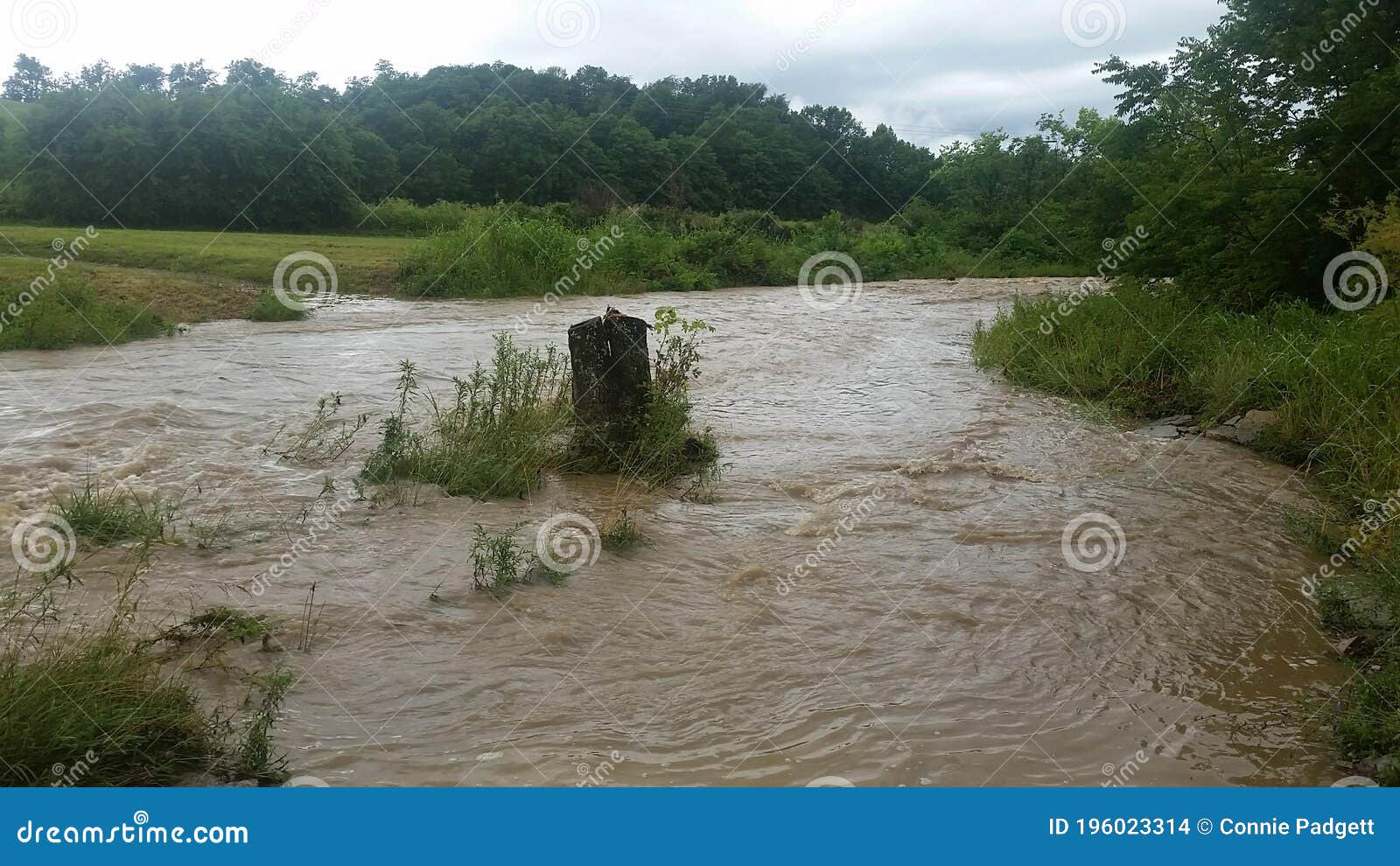 More Creek after a Big Rain! Beautiful! Stock Photo - Image of creek ...
