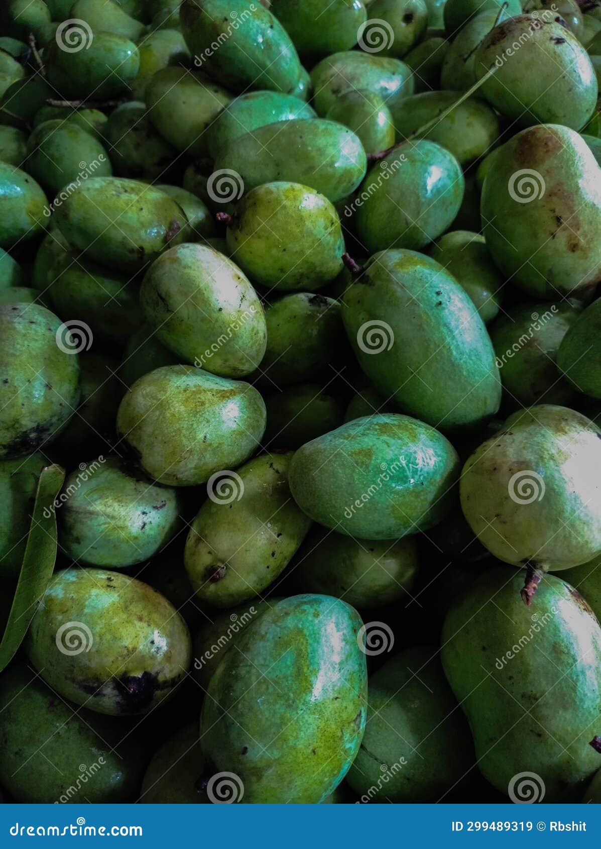 More Than 1,000 Types of Mango but only about 50 Types are Commonly ...