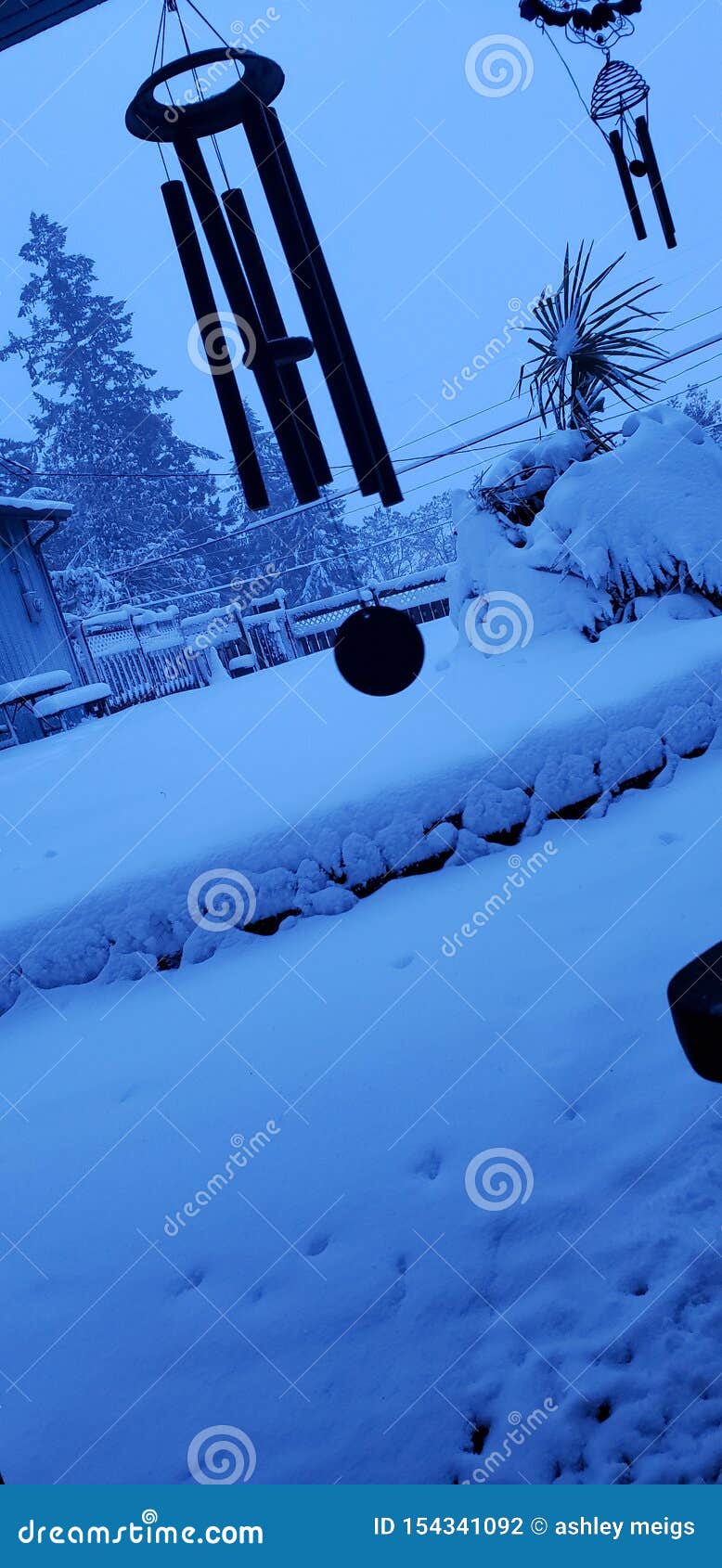 More White Fluffy White Stuff Stock Photo - Image of fluffy, stuff ...