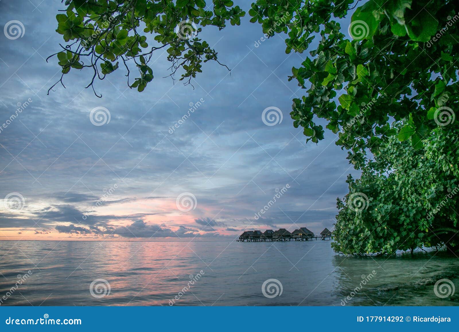 Morea french polynesia foto de archivo. Imagen de polinesia - 177914292