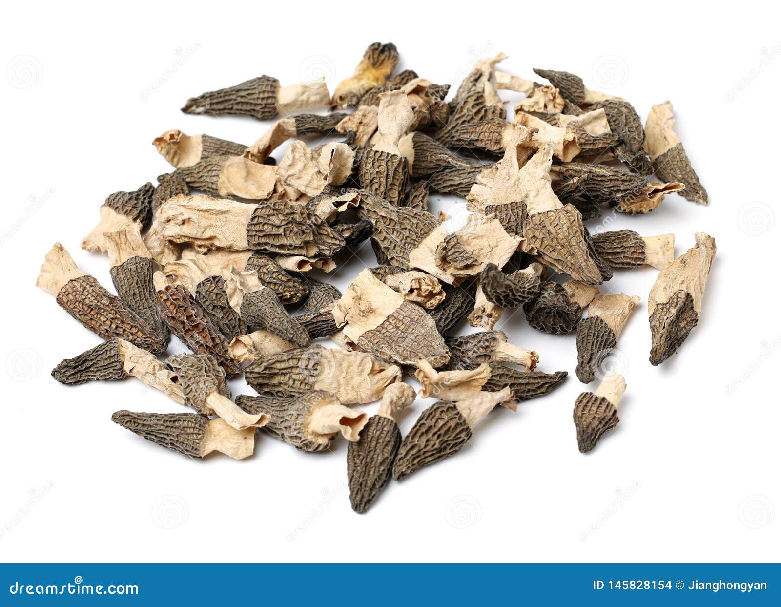Morel mushrooms stock photo. Image of isolated, healthy - 145828154