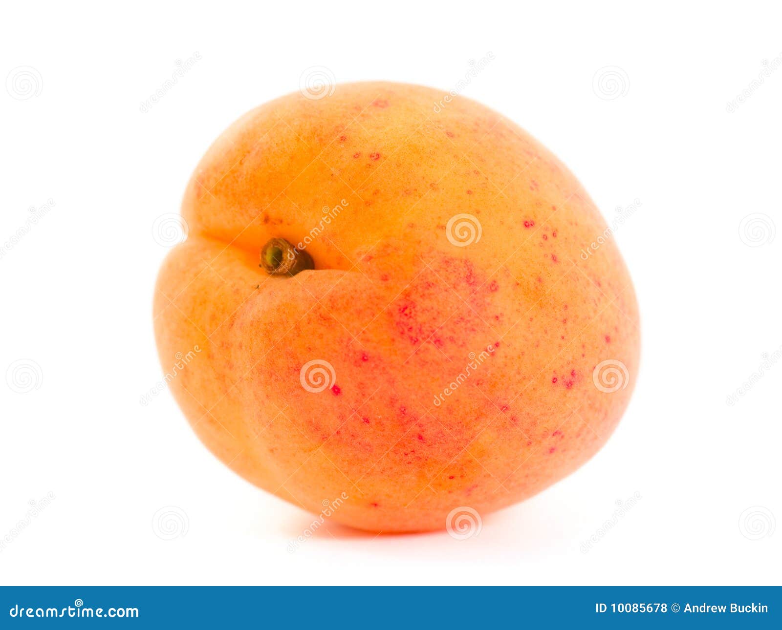 Morela zdjęcie stock. Obraz złożonej z dietetyczka, smakowity - 10085678