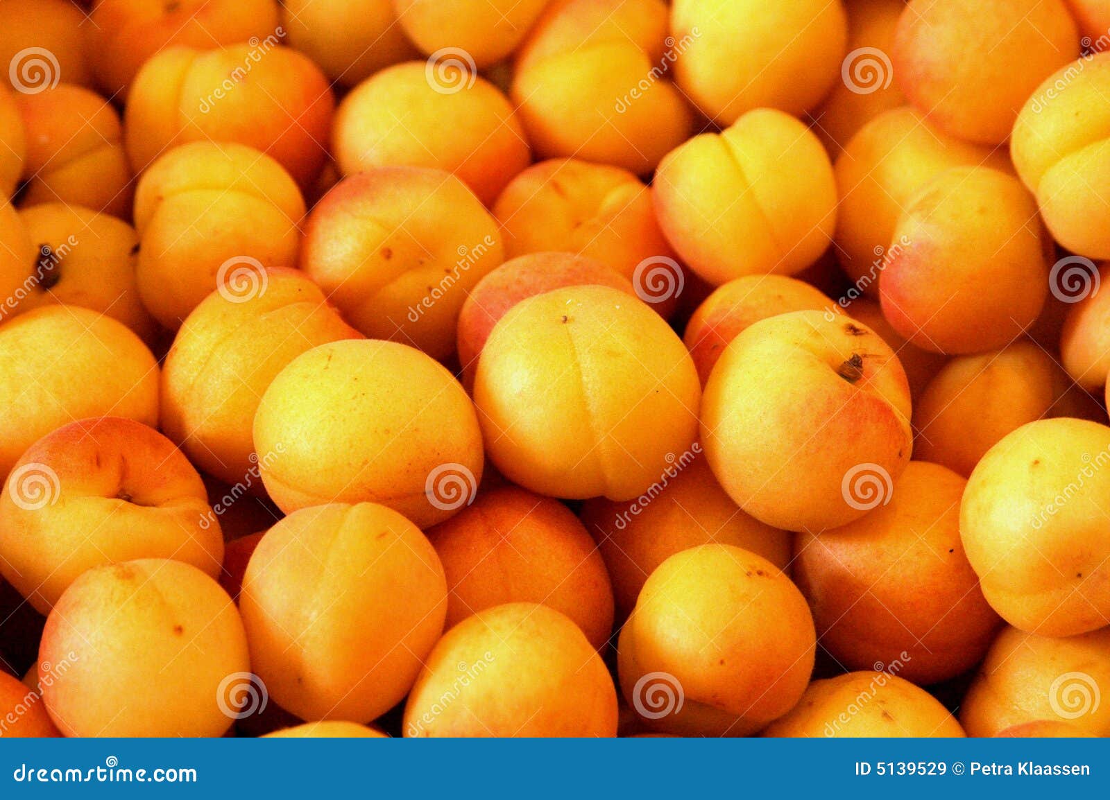 Morele obraz stock. Obraz złożonej z łupa, podśmietanie - 5139529