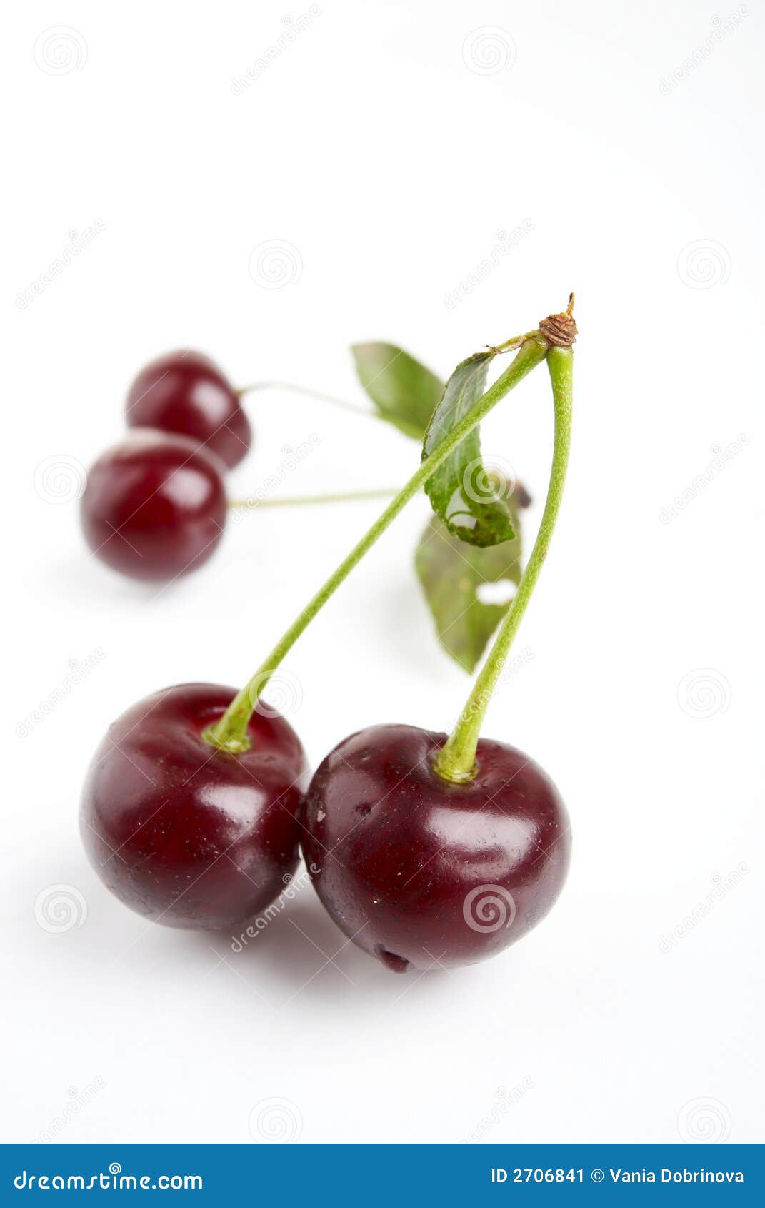 Morello stock image. Image of spring, food, lunch, yellow - 2706841