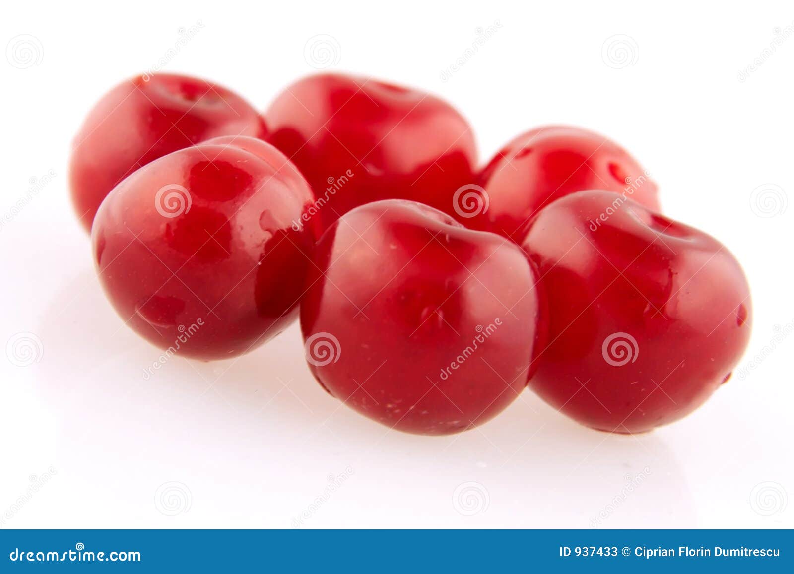 Morello cherry group stock image. Image of isolation, diet - 937433