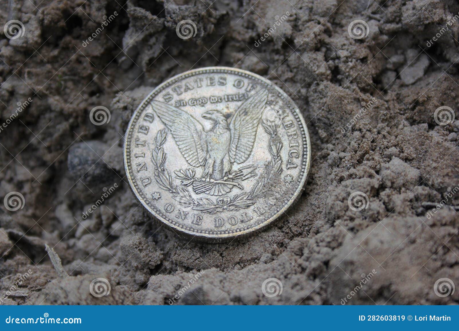1879 Morgan Silver Dollar on Ground in Dirt Back View Stock Image ...