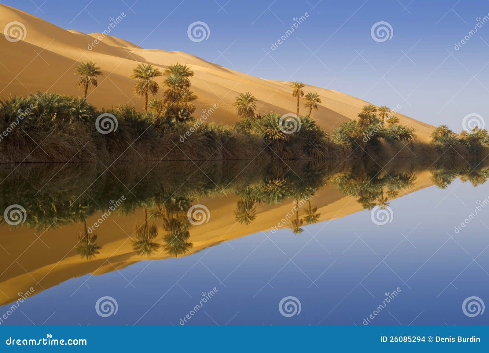 Oase Archivbilder - Abgabe des Download-8,757 geben Fotos frei