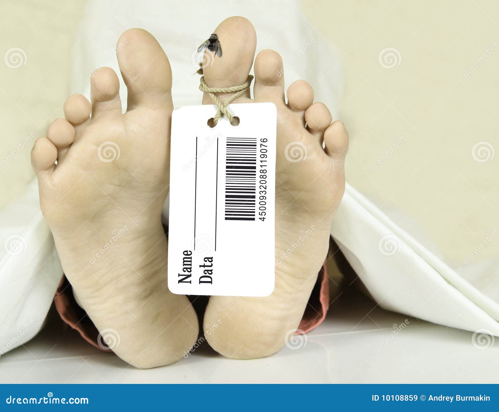 Morgue stock image. Image of funeral, human, corpse, foot - 10108859