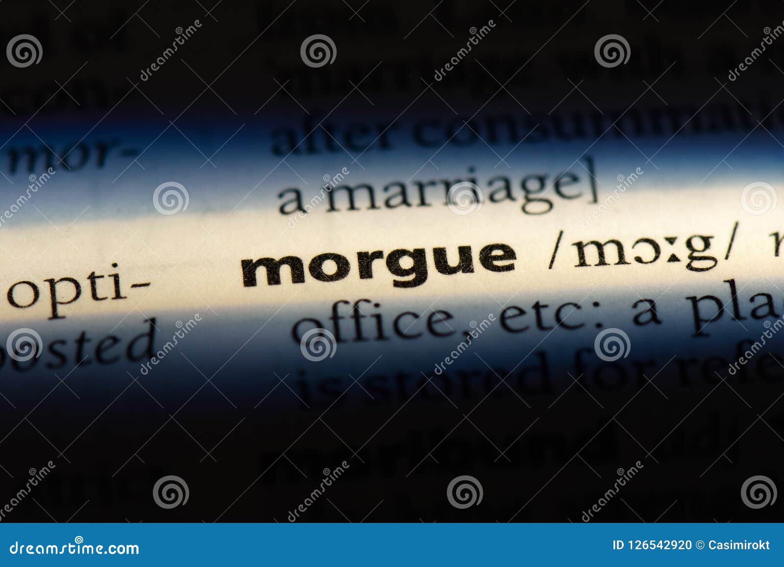 Morgue stock photo. Image of info, book, isolated, definition - 126542920