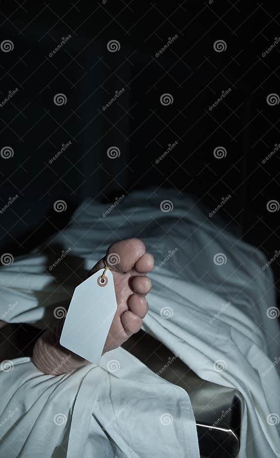 Morgue Scene stock image. Image of autopsy, deceased, cadaver - 9549957