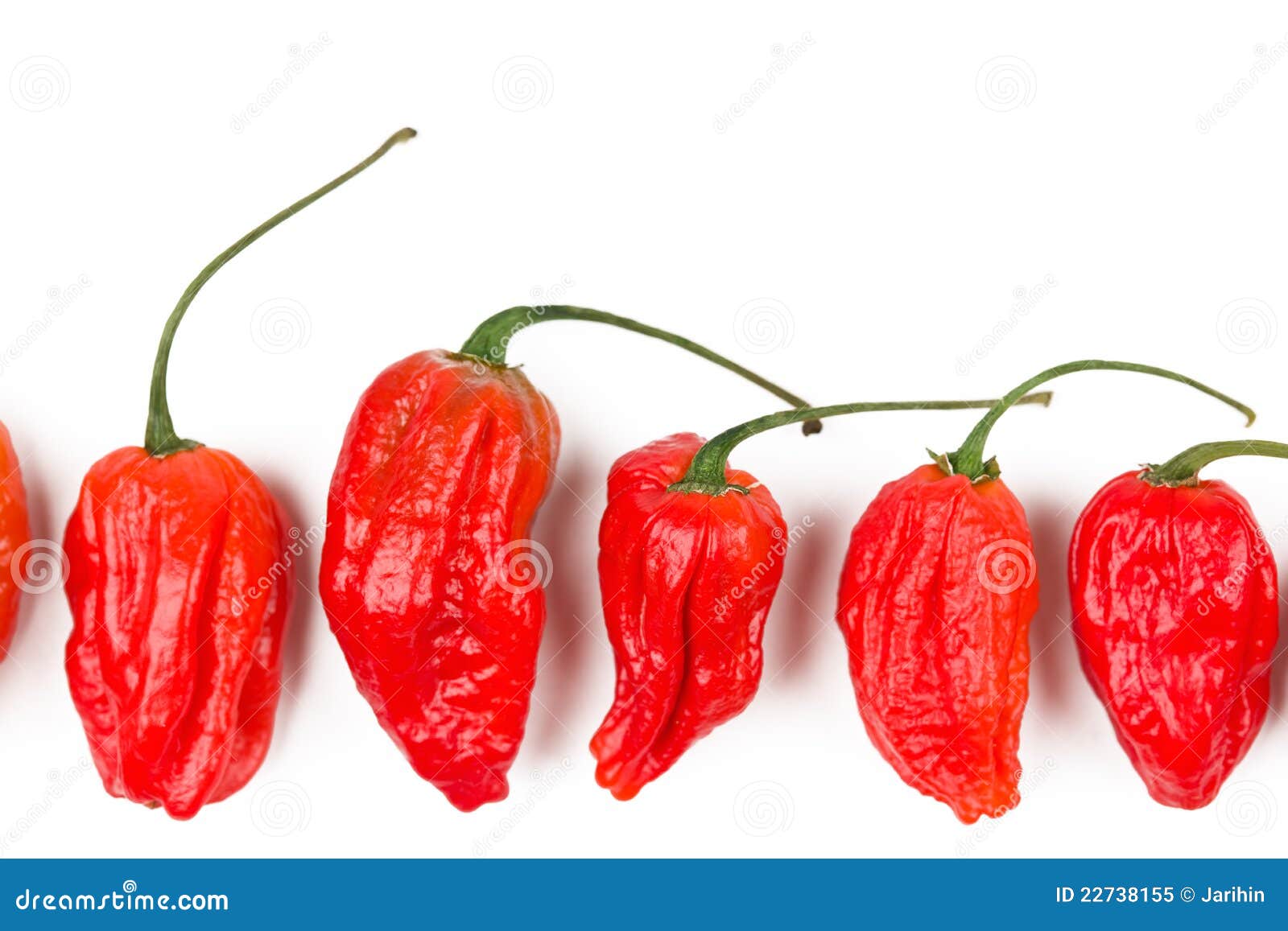 Morich do Naga imagem de stock. Imagem de sabor, pimento - 22738155