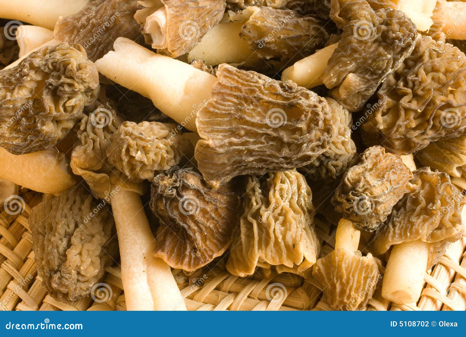 Morillas foto de archivo. Imagen de hongo, culinario, texturizado - 5108702