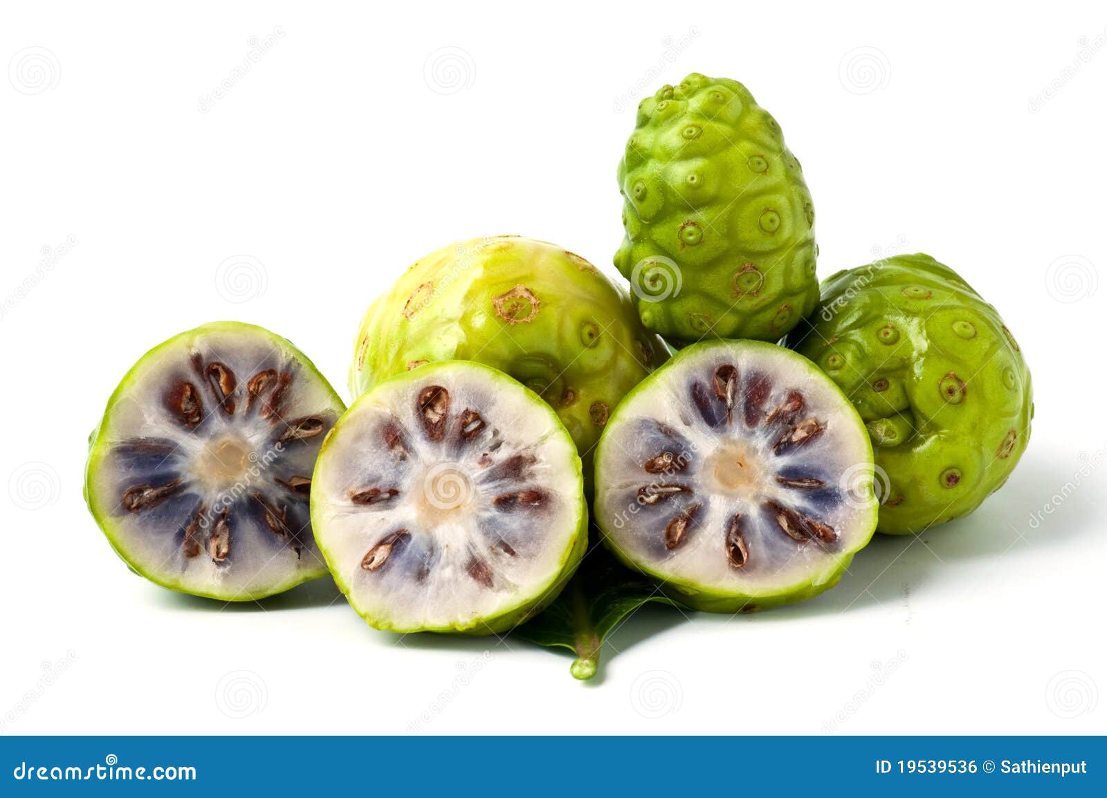 Morinda citrifolia stock photo. Image of fruit, food - 19539536
