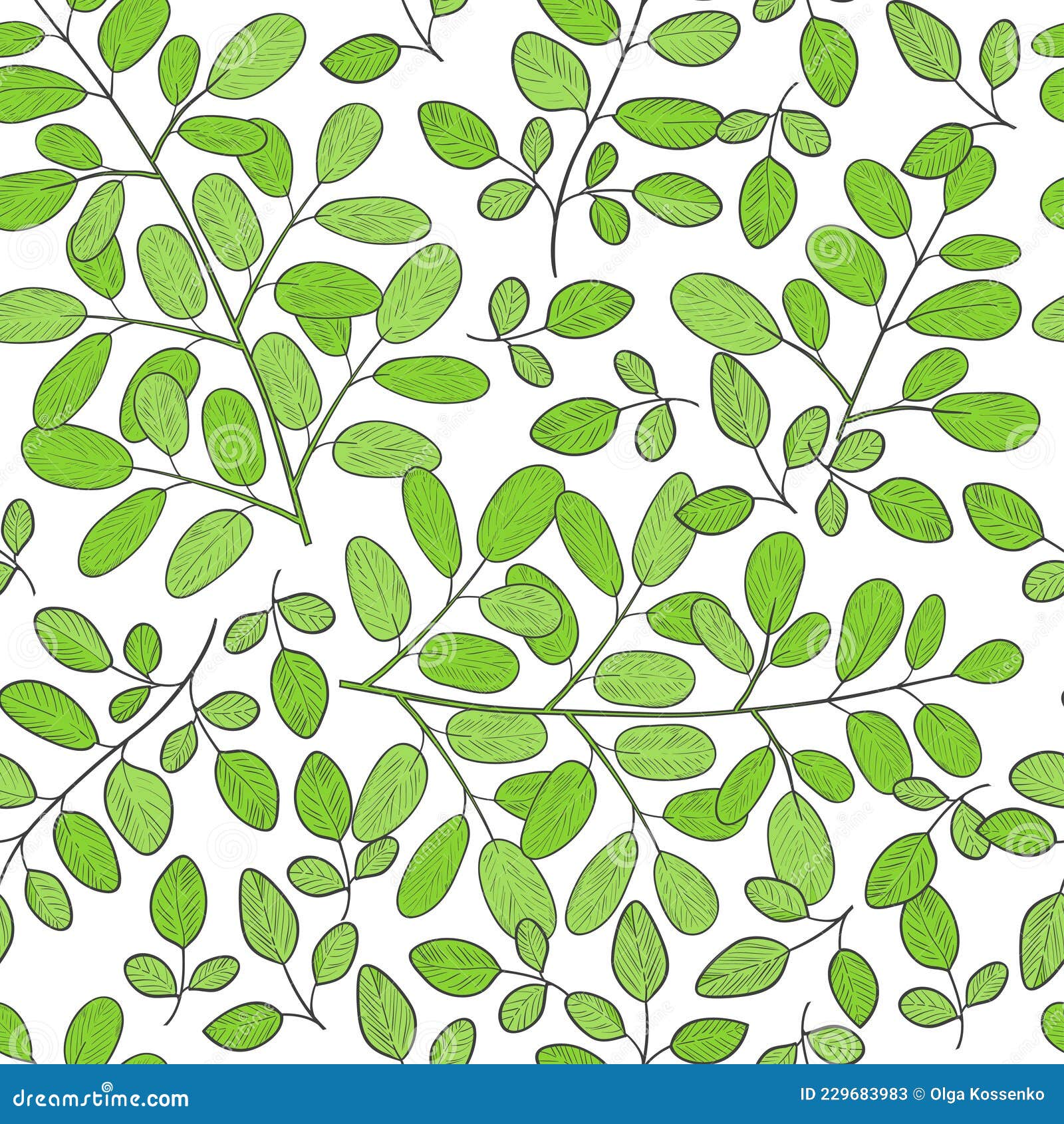 Moringa. Background, Wallpaper, Seamless. Sketch. Color Pattern Stock ...