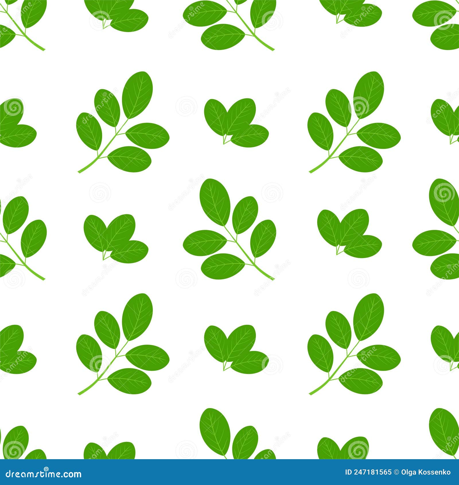 Moringa. Branch and Leaves. Seamless Pattern. Stock Vector ...