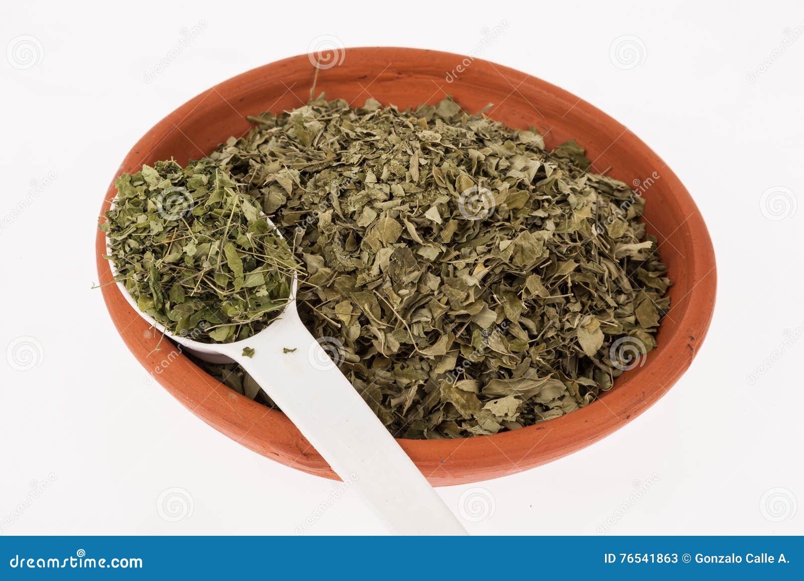 Moringa Dried Leaves Medicinal Plant Stock Image - Image of healing ...