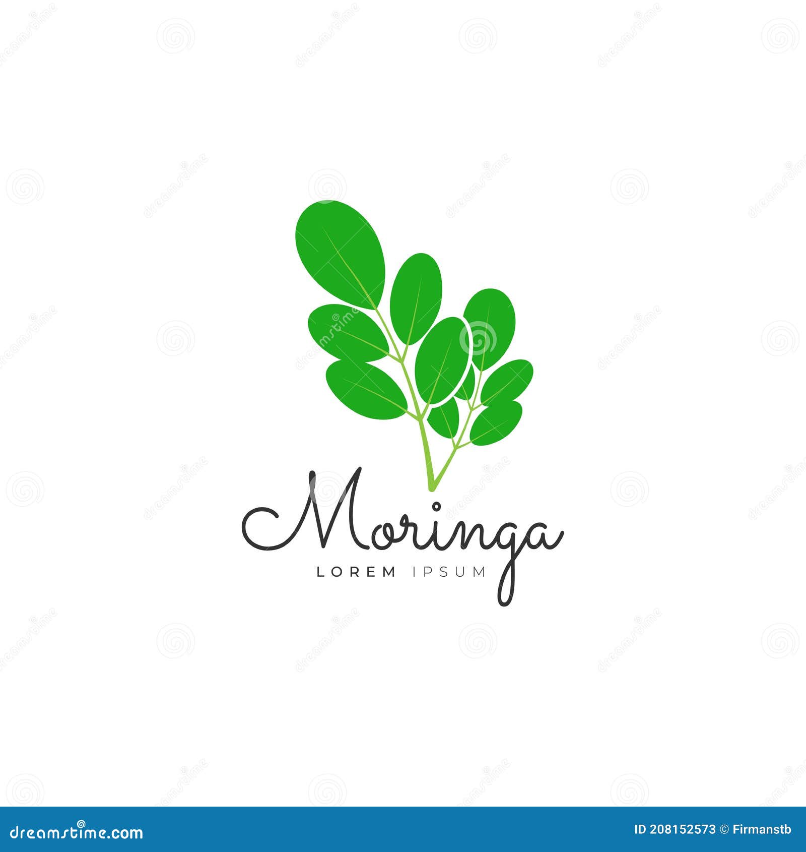 Moringa Leaf Icon Logo Vector Design Template Stock Vector ...