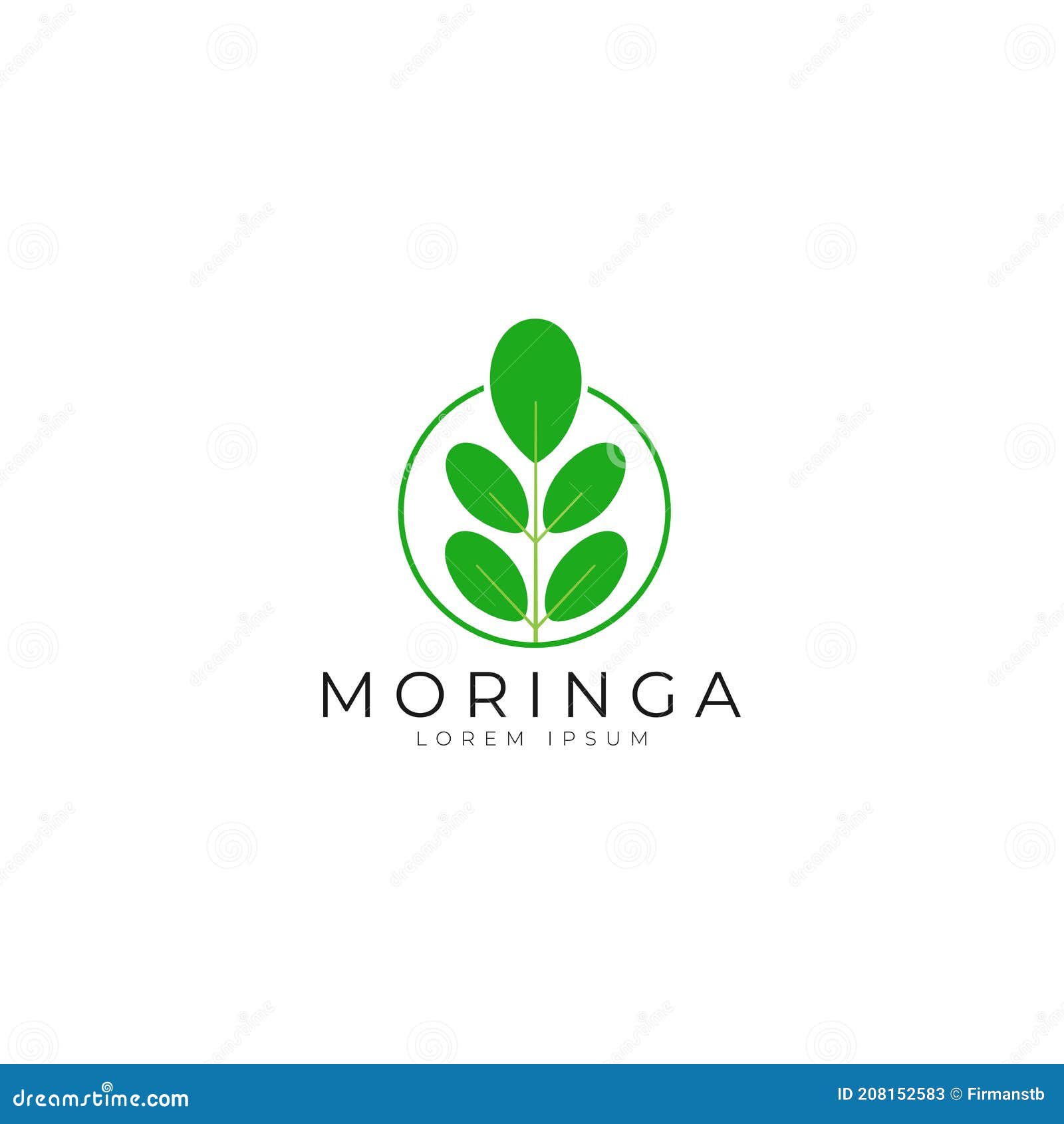 Moringa Leaf Icon Logo Vector Design Template Stock Vector ...