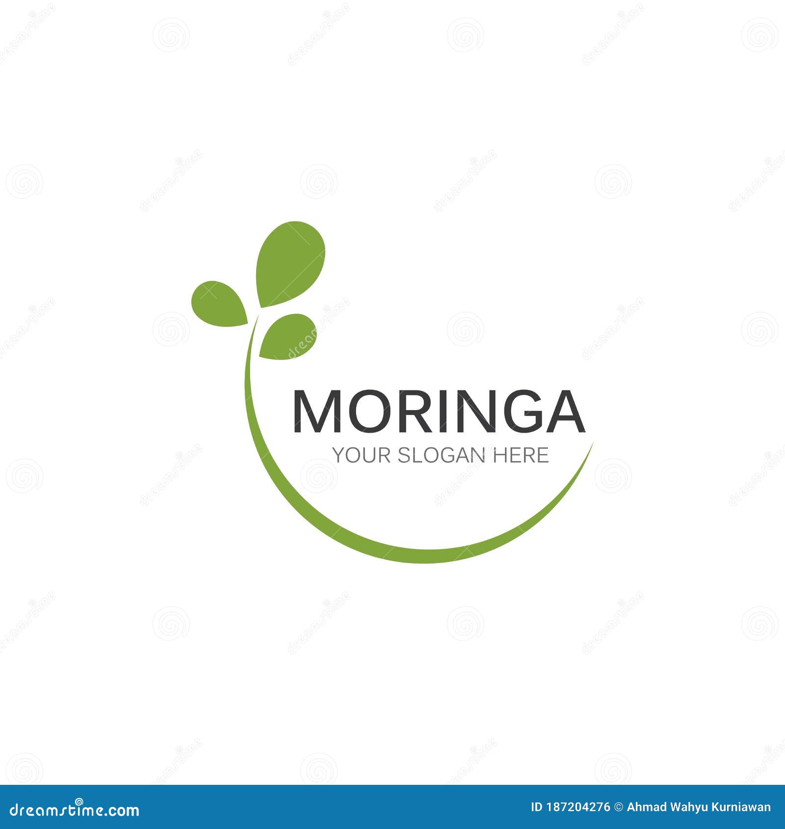 Moringa leaf illustration stock vector. Illustration of leaf - 187204276