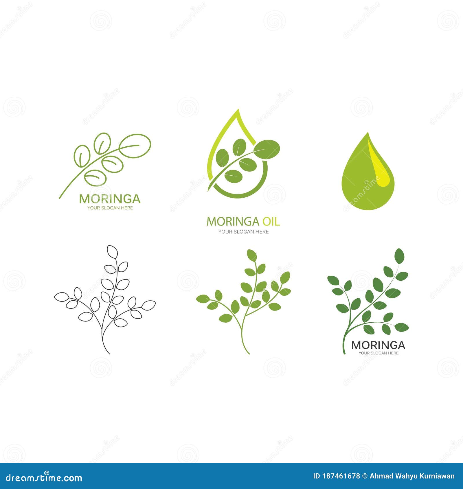 Moringa leaf illustration stock vector. Illustration of element - 187461678