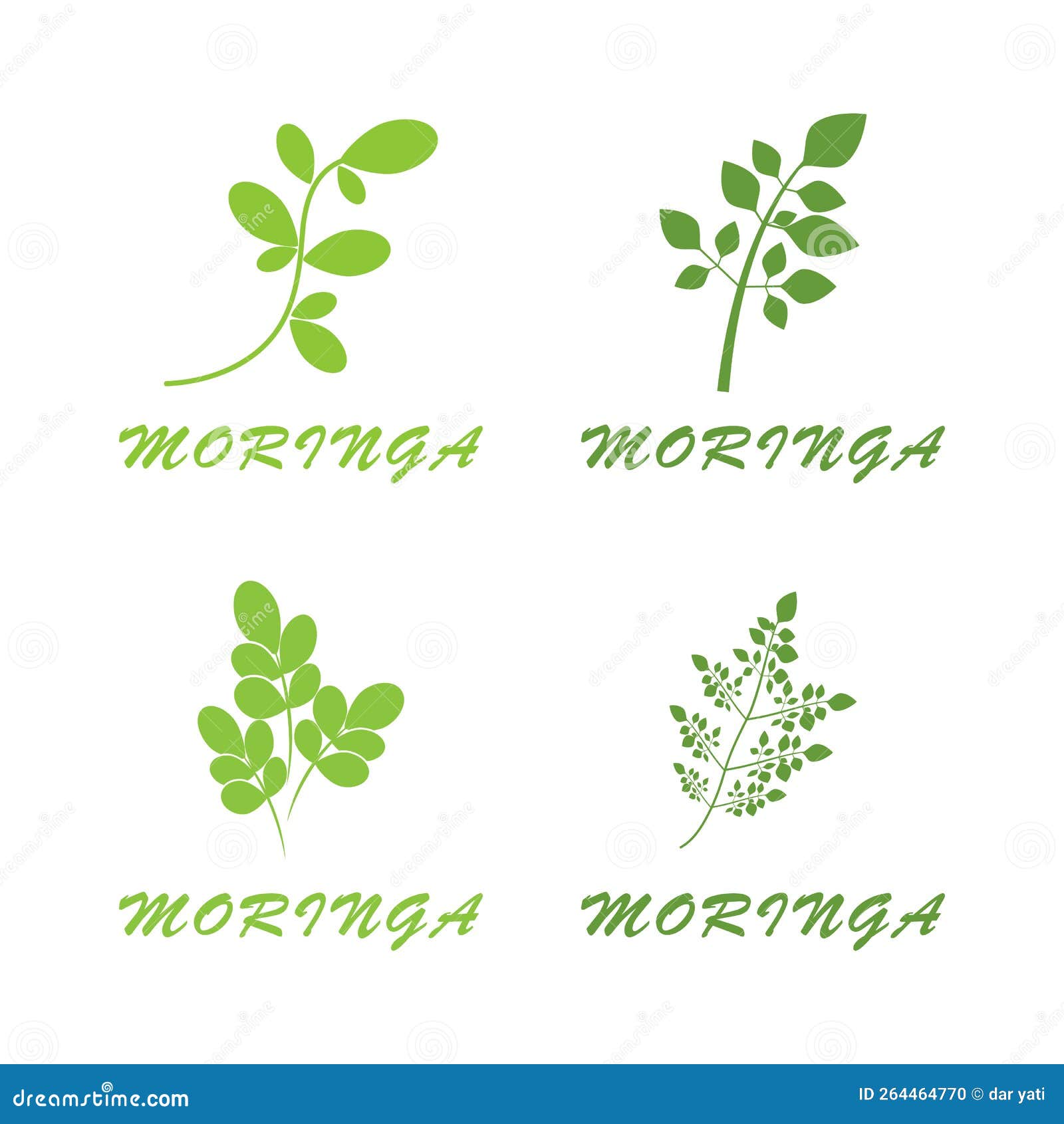 Moringa Leaf Logo Template Vector Symbol Nature Stock Vector ...