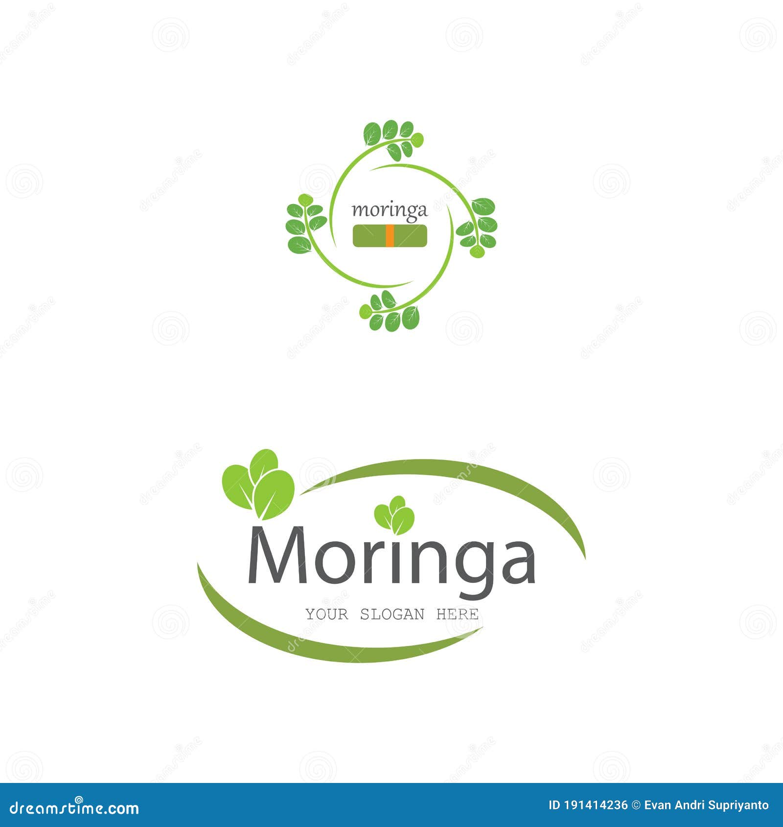 Moringa Leaf Logo Template Vector Stock Vector - Illustration of ...