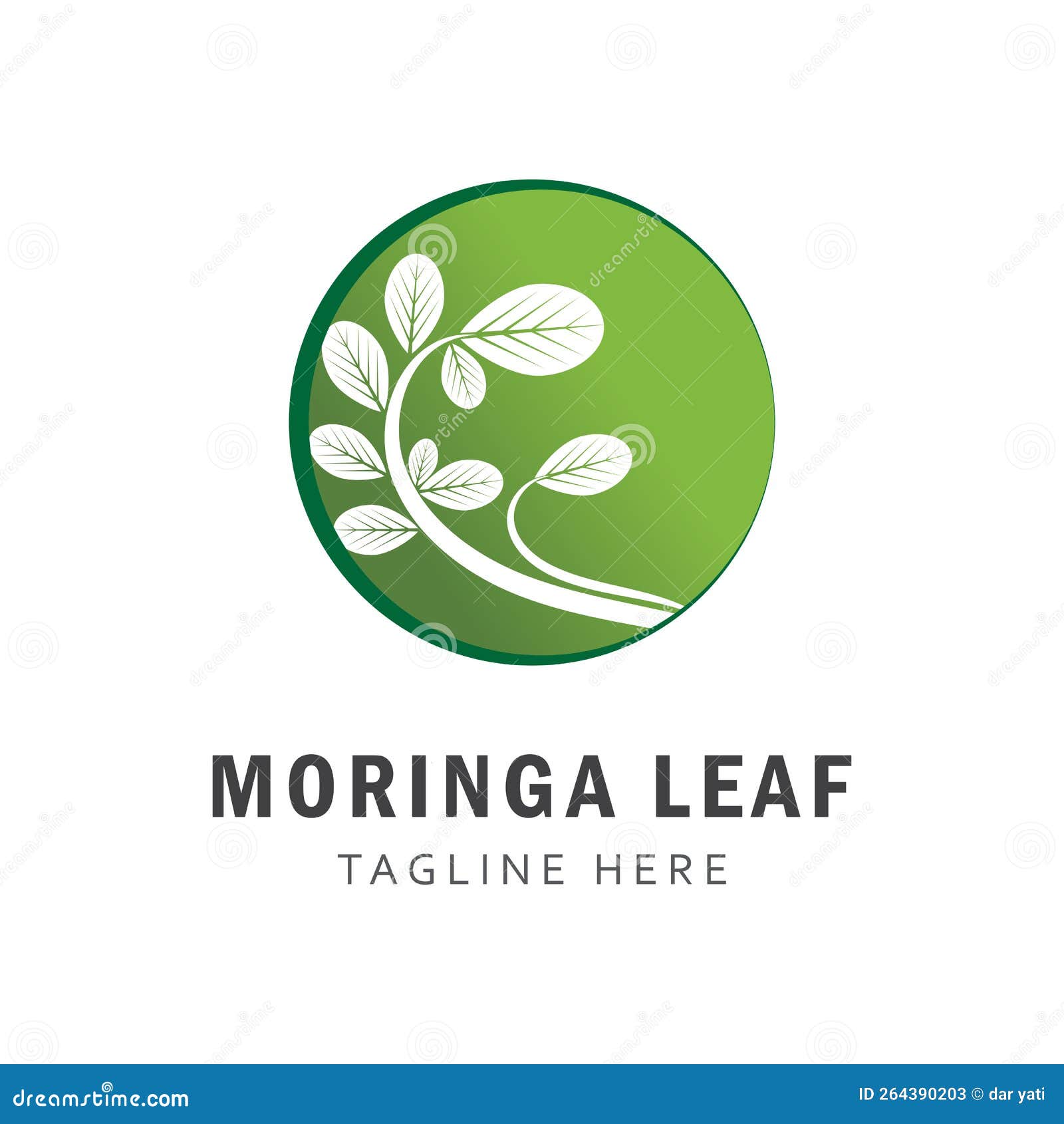 Moringa Leaf Logo Template Vector Symbol Nature Stock Vector ...
