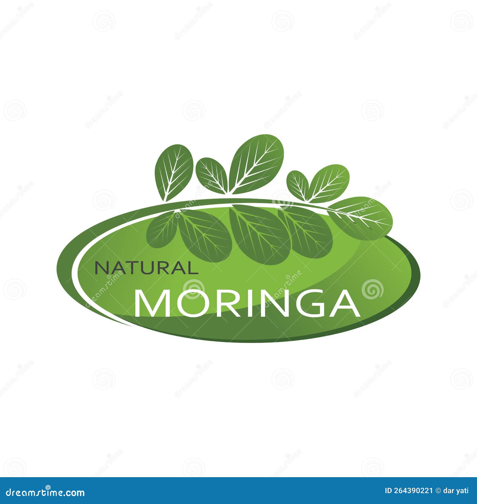 Moringa Leaf Logo Template Vector Symbol Nature Stock Vector ...