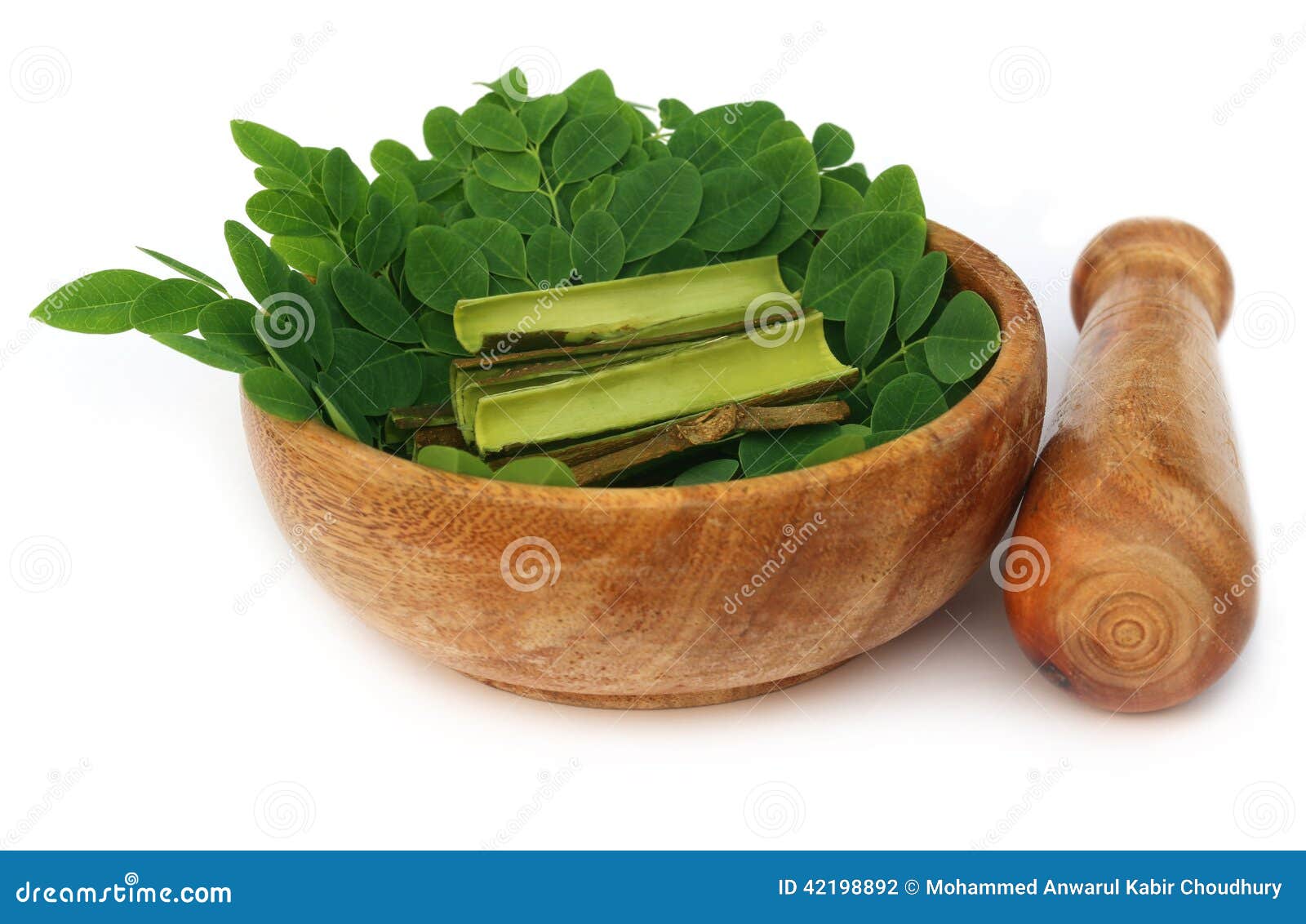 The Bark Of Old Moringa Trees Is Gray Stock Photography | CartoonDealer ...