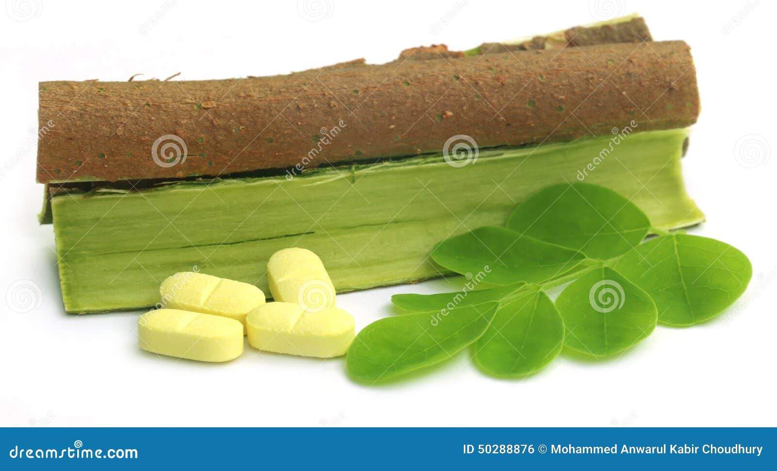 Moringa Leaves and Bark with Pills Stock Photo - Image of food, bark ...