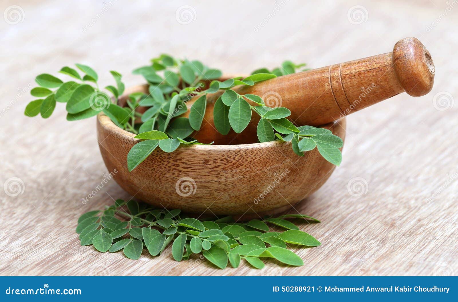 Moringa Leaves Isolate On White Background Stock Image | CartoonDealer ...