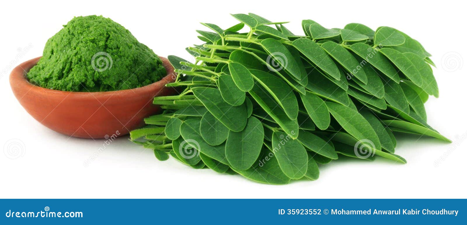 Moringa leaves with paste stock photo. Image of brown - 35923552