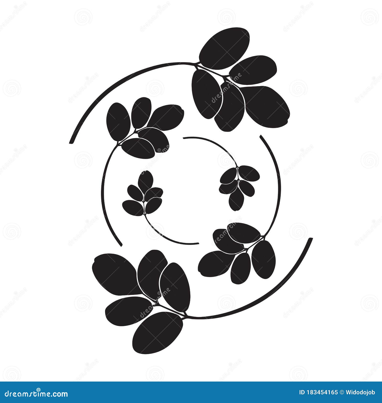 Moringa Leaves Vector Illustration Stock Vector - Illustration of green ...