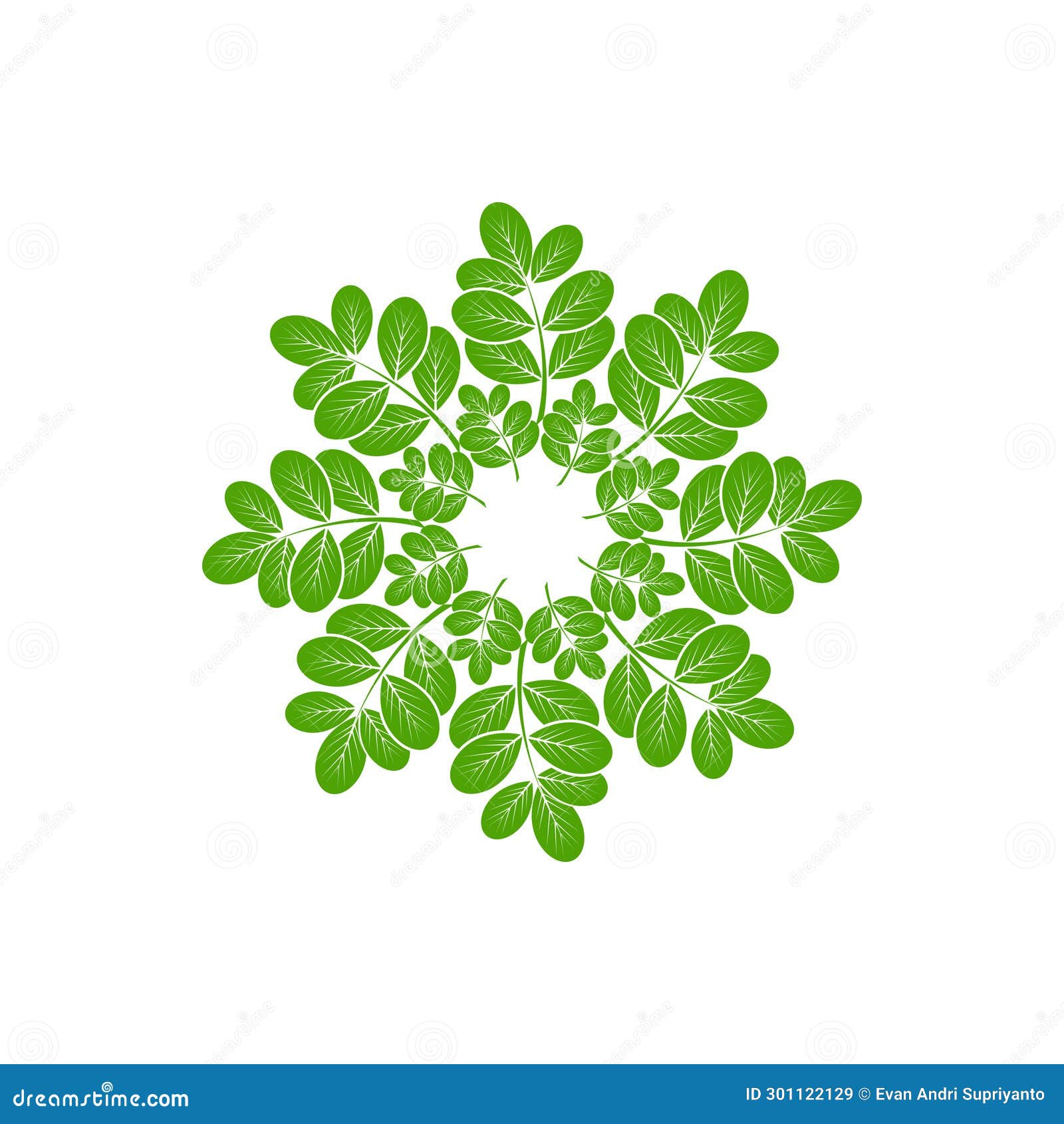 Moringa Logo Vector Template Symbol Nature Stock Vector - Illustration ...