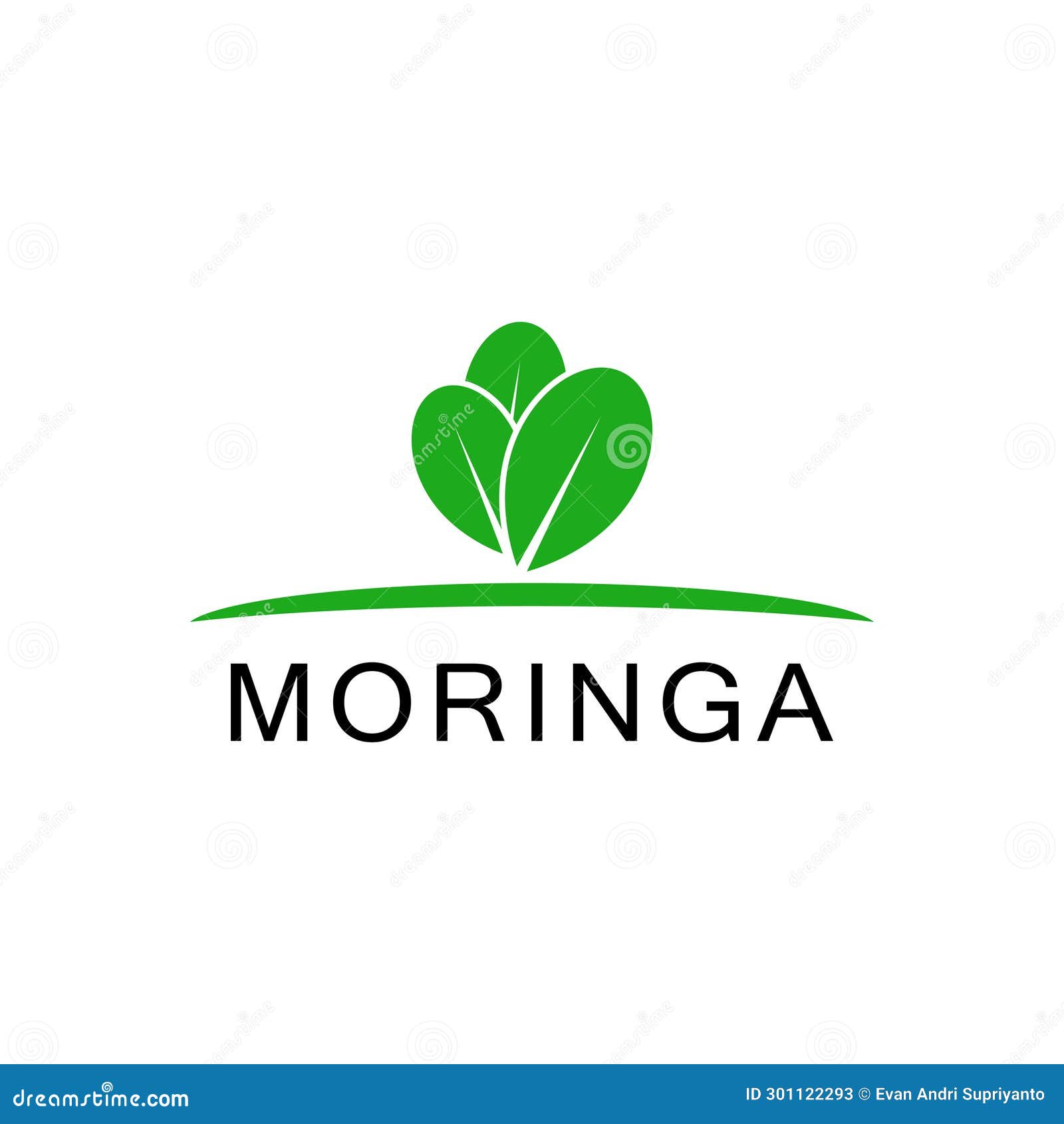 Moringa Logo Vector Template Symbol Nature Stock Vector - Illustration ...