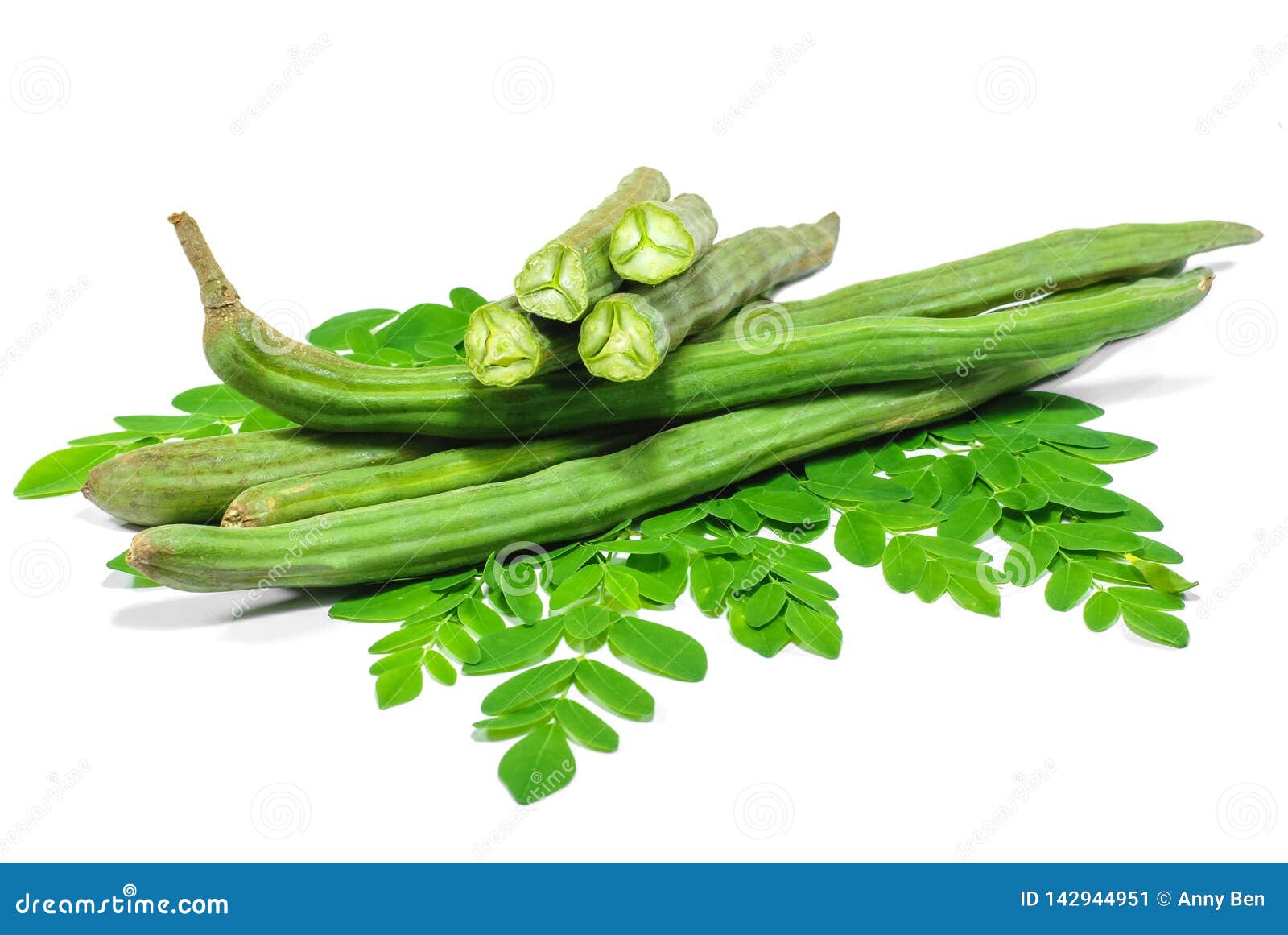 Moringa Oleifera Is A Drought Resistant Tree Of The Family Moringaceae ...