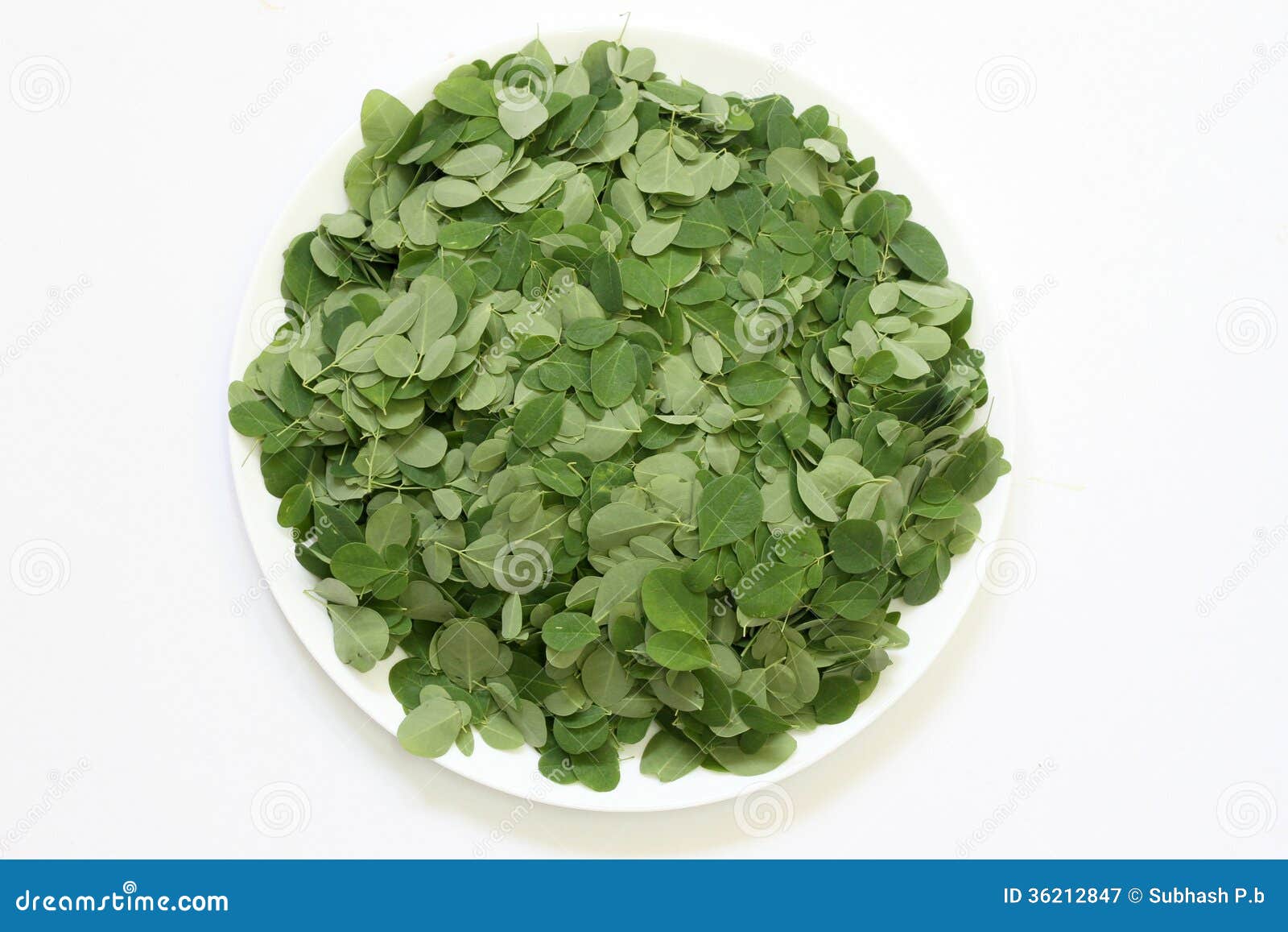 Moringa Oleifera Leaves in a Plate Stock Image - Image of oleifera ...